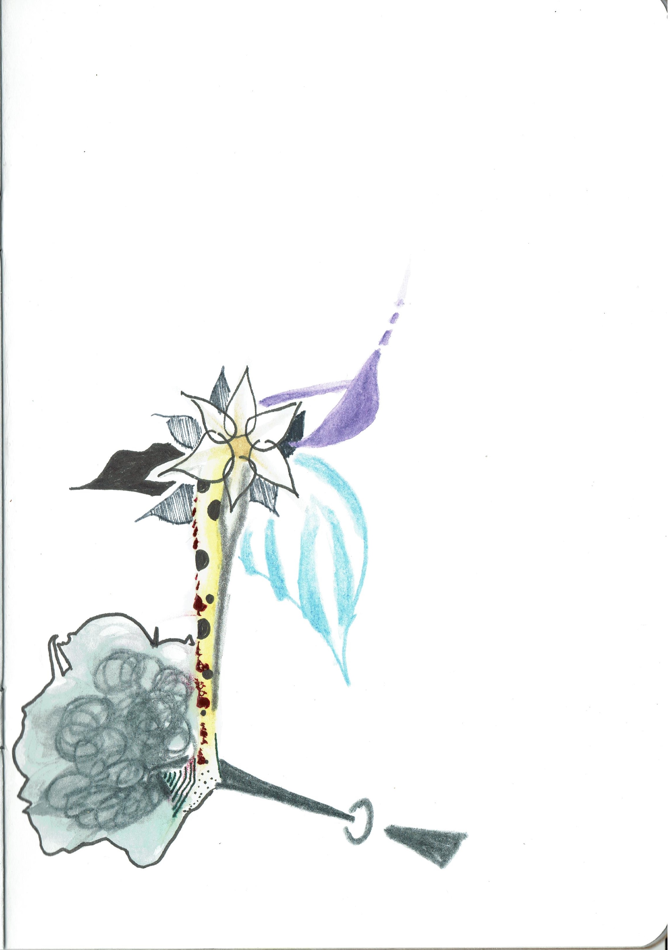 eight – Urban Dandy